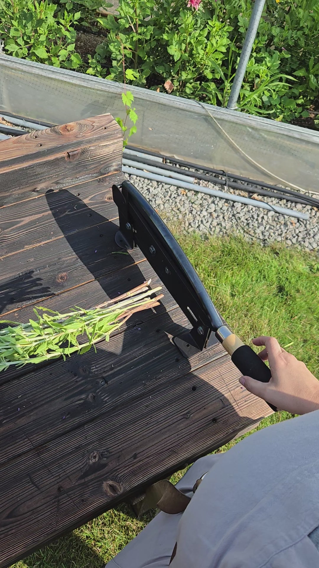 Cut Flower Stem Cutter – Harris Seeds