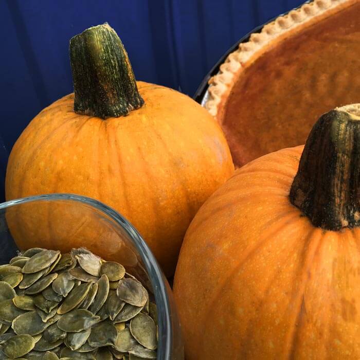 Edible Pumpkin & Specialty Squash Seeds – Harris Seeds