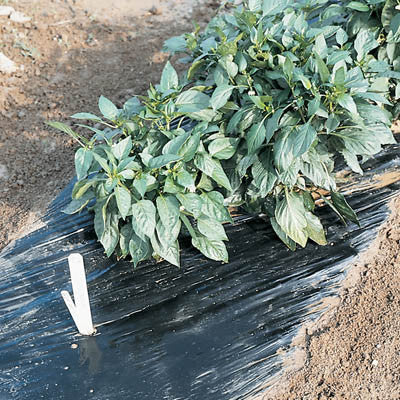 Plastic & Paper Mulches - Landscape Fabric – Harris Seeds