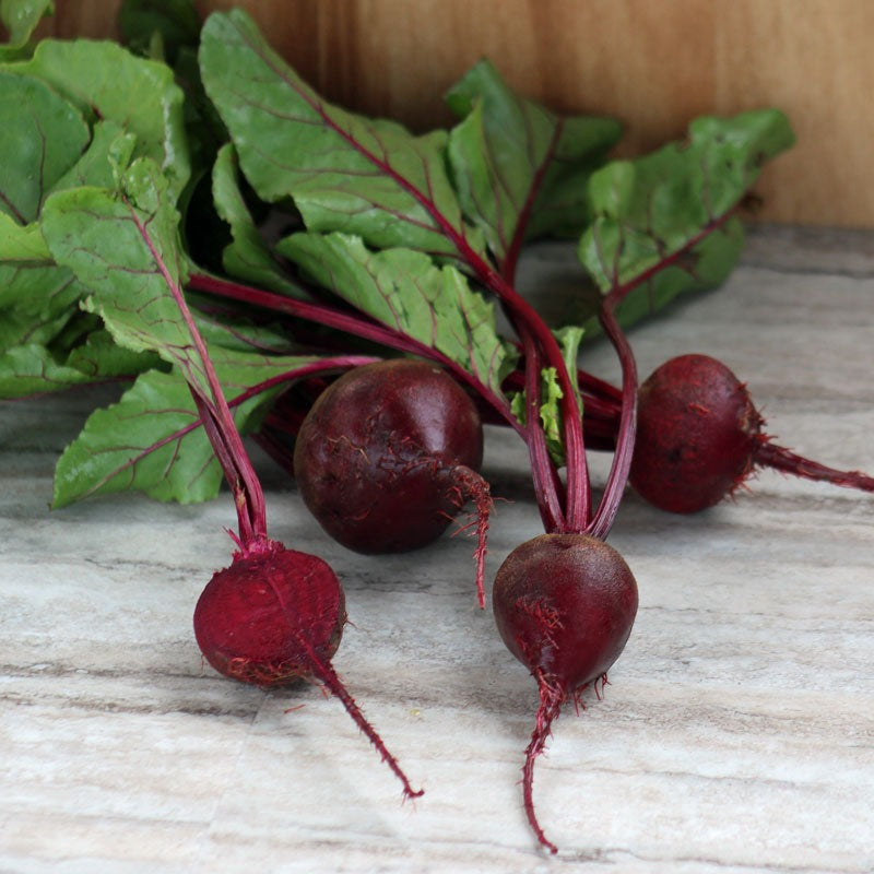 Buy Beet Seeds - Grow Beets From Seeds – Harris Seeds