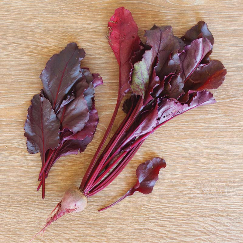 Red Beet Leaves