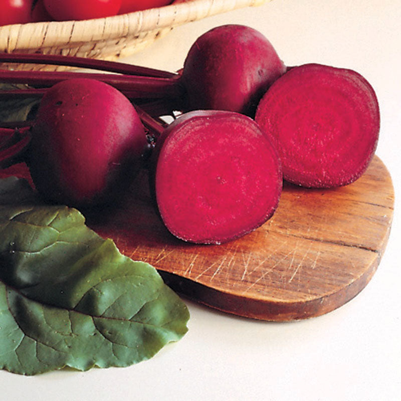Beet Red Ace F1 Seed – Harris Seeds