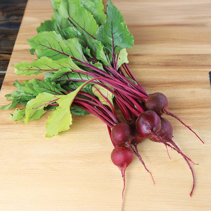 Beet Merlin F1 Seed – Harris Seeds
