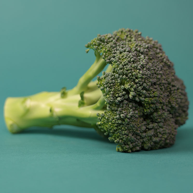 Broccoli Gypsy F1 Seed – Harris Seeds