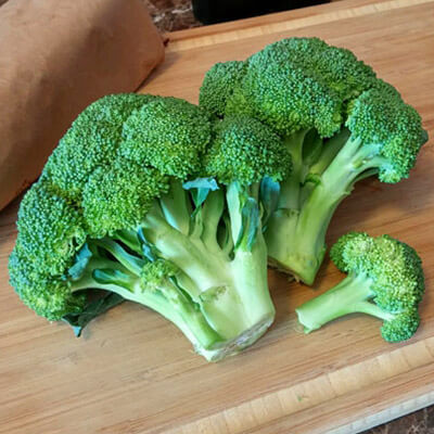 Broccoli Gypsy F1 Seed – Harris Seeds