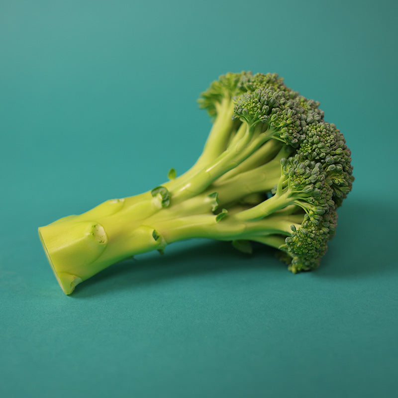 Broccoli Gypsy F1 Seed – Harris Seeds