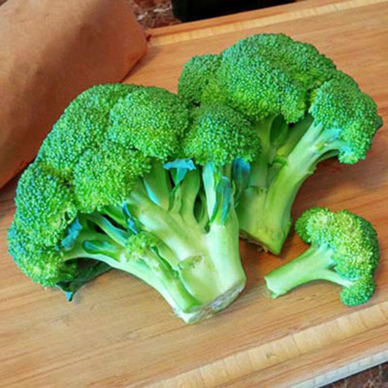 Broccoli Gypsy F1 Seed – Harris Seeds