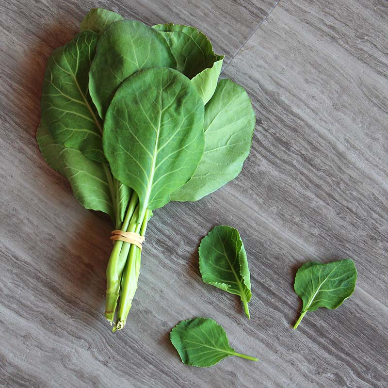 Collard Flash F1 Seed – Harris Seeds