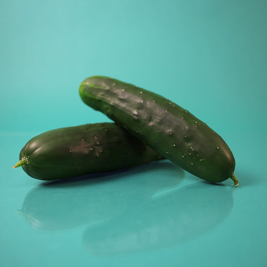 Cucumber Dasher II F1 Seed – Harris Seeds