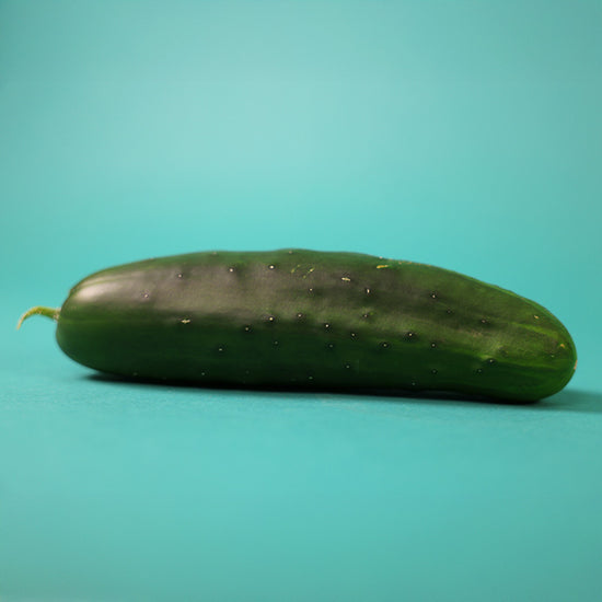 Cucumber Dasher II F1 Seed – Harris Seeds