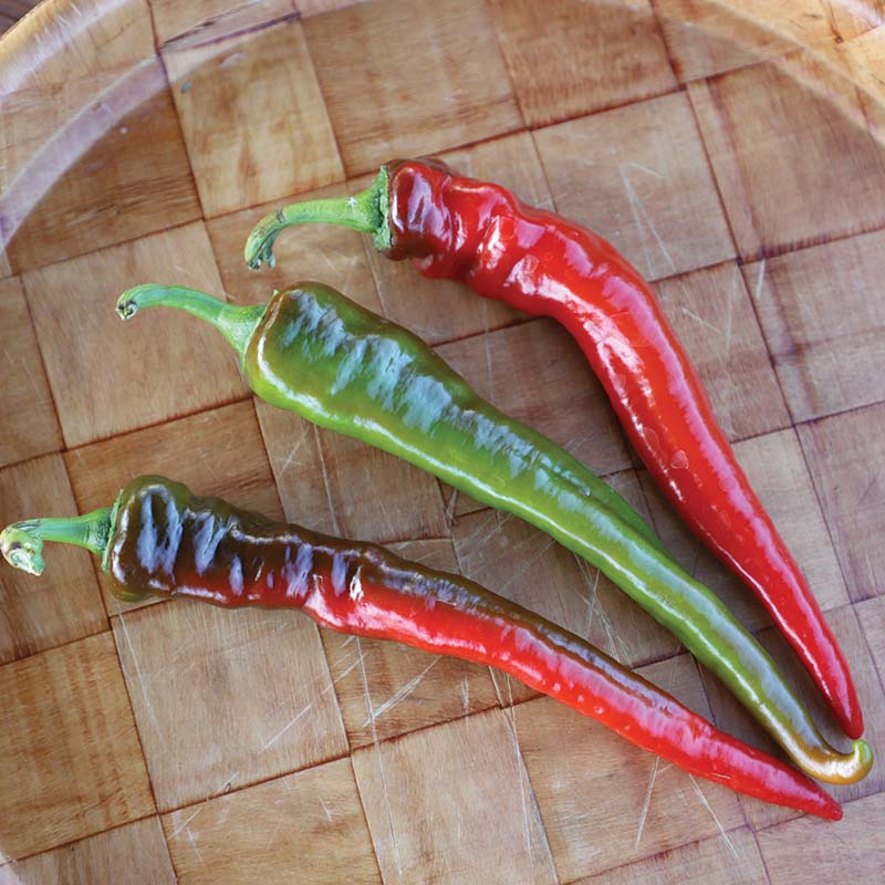 Pepper Hot Portugal Seed – Harris Seeds