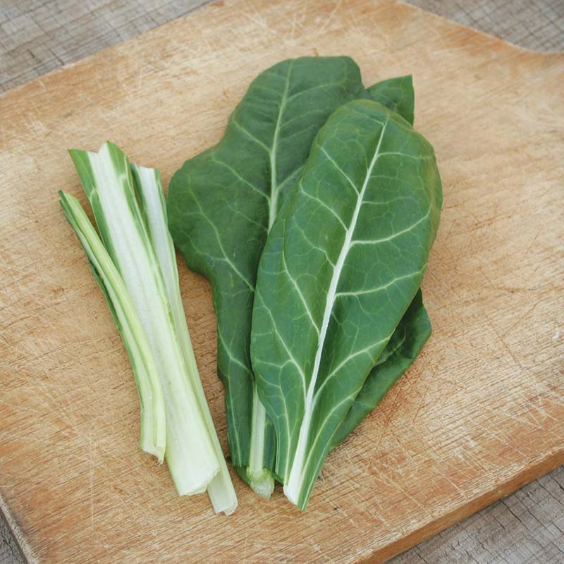 Swiss Chard Large White Ribbed Seed – Harris Seeds