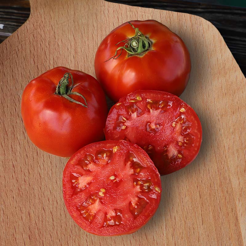 Tomato Jet Star F1 Seed – Harris Seeds