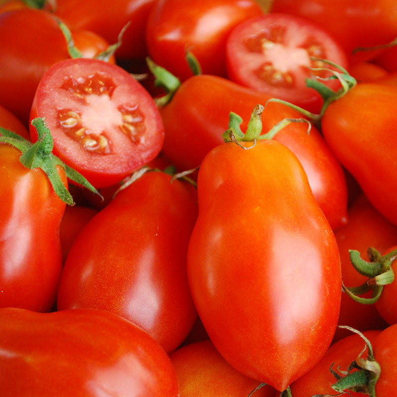 Tomato Roma VF Seed – Harris Seeds