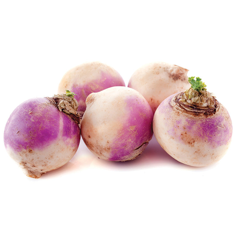 Rutabaga American Purple Top Seed – Harris Seeds