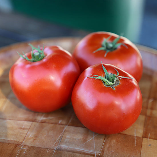 Tomato Mountain Fresh Plus F1 Seed – Harris Seeds