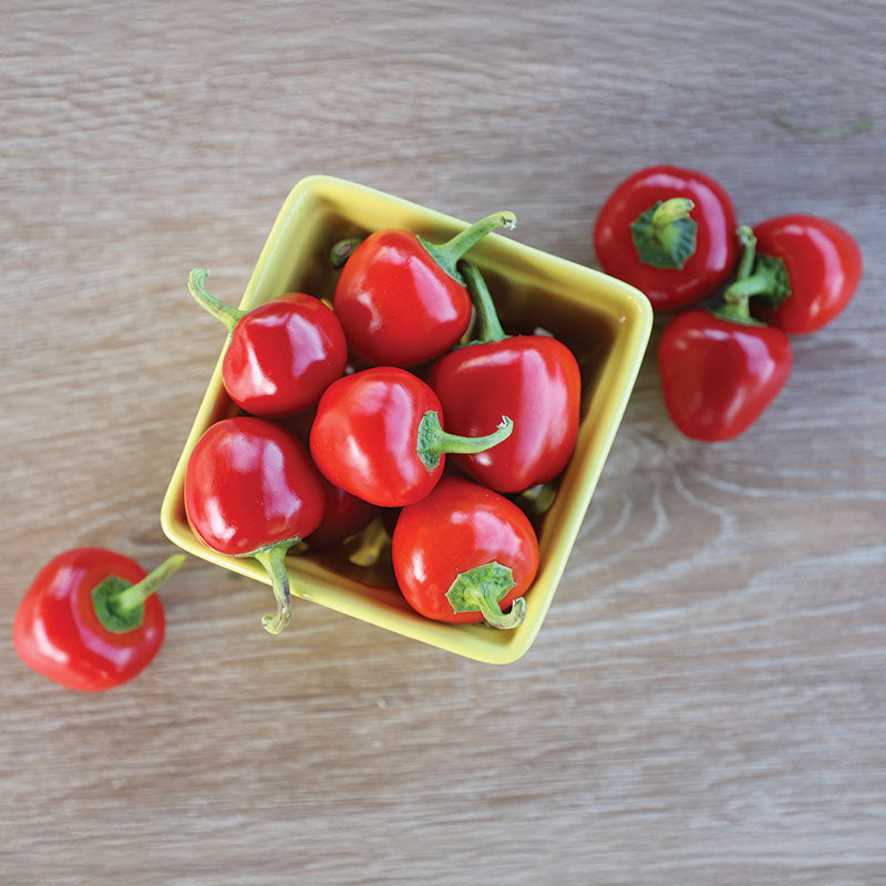 Pepper Seed Collection - Hot Peppers Seed – Harris Seeds