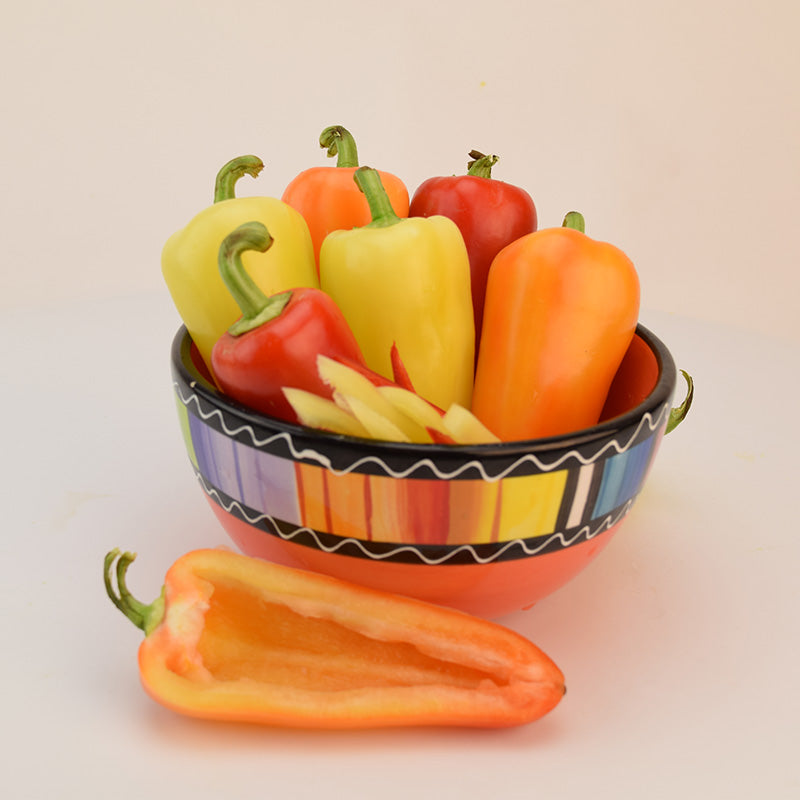 Pepper Seed Collection - Hot Peppers Seed – Harris Seeds