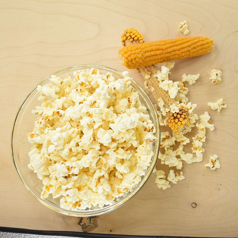 Popcorn Top Pop F1 Seed – Harris Seeds