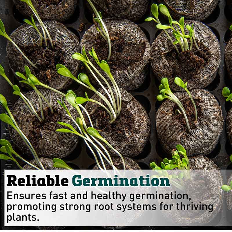 Jiffy Medium Pellets – Harris Seeds