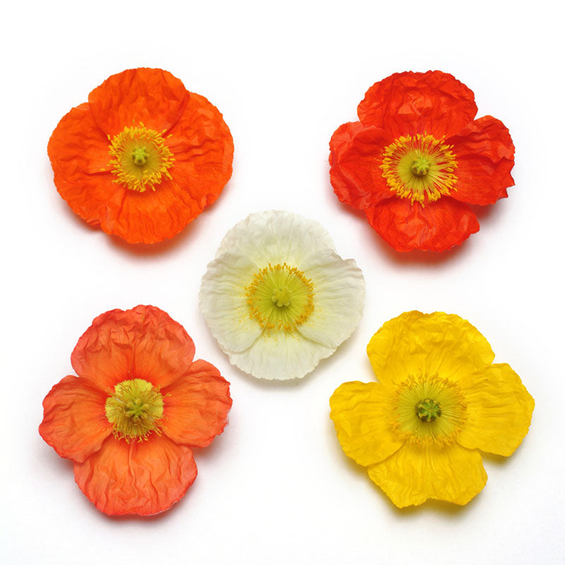 Poppy Champagne Bubbles Mix Seed – Harris Seeds