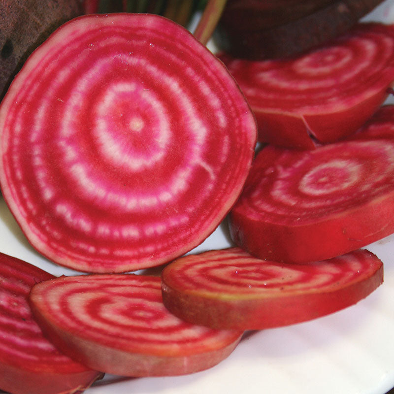 Beet Chioggia Guardsmark Organic Seed – Harris Seeds