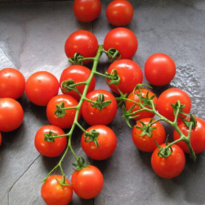 Tomato Mountain Magic F1 Seed – Harris Seeds
