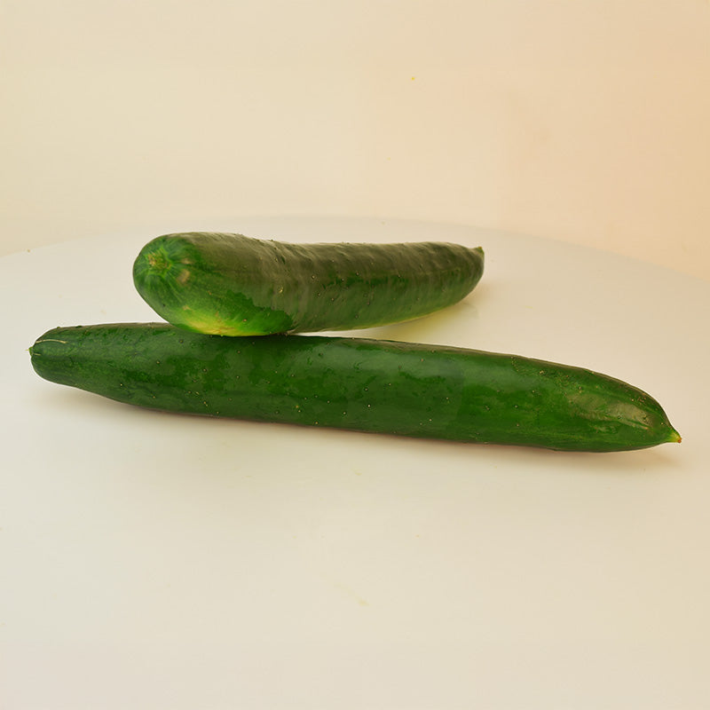 Cucumber Taurus F1 Seed – Harris Seeds