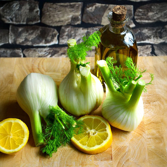 Fennel Preludio F1 Organic Seed – Harris Seeds