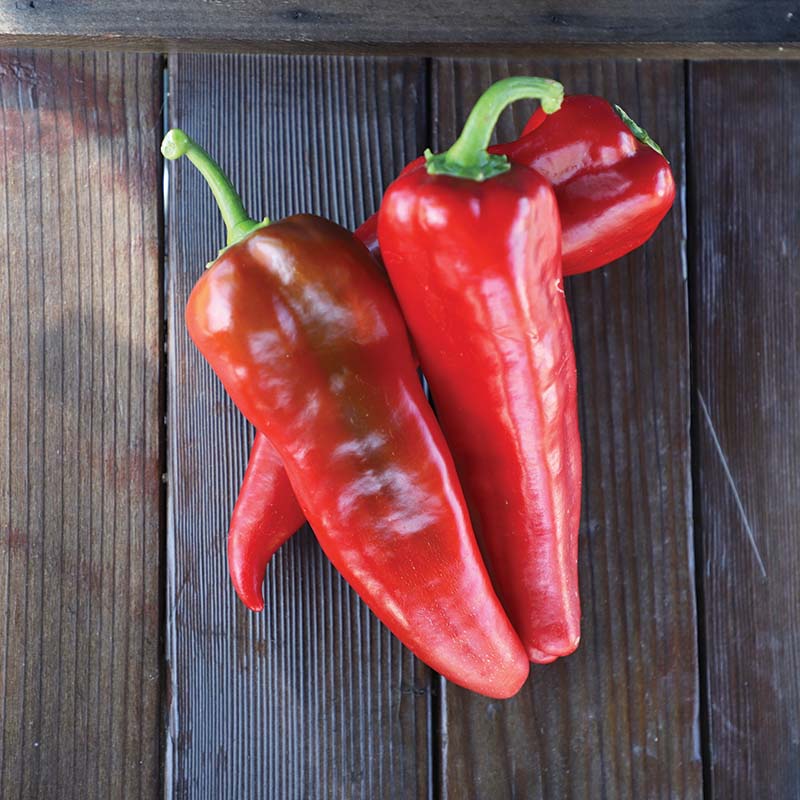 Pepper Carmen F1 Seed – Harris Seeds