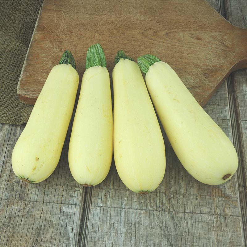 Zucchini Varieties How To Grow Zucchini Indoors Guide – Gardeners