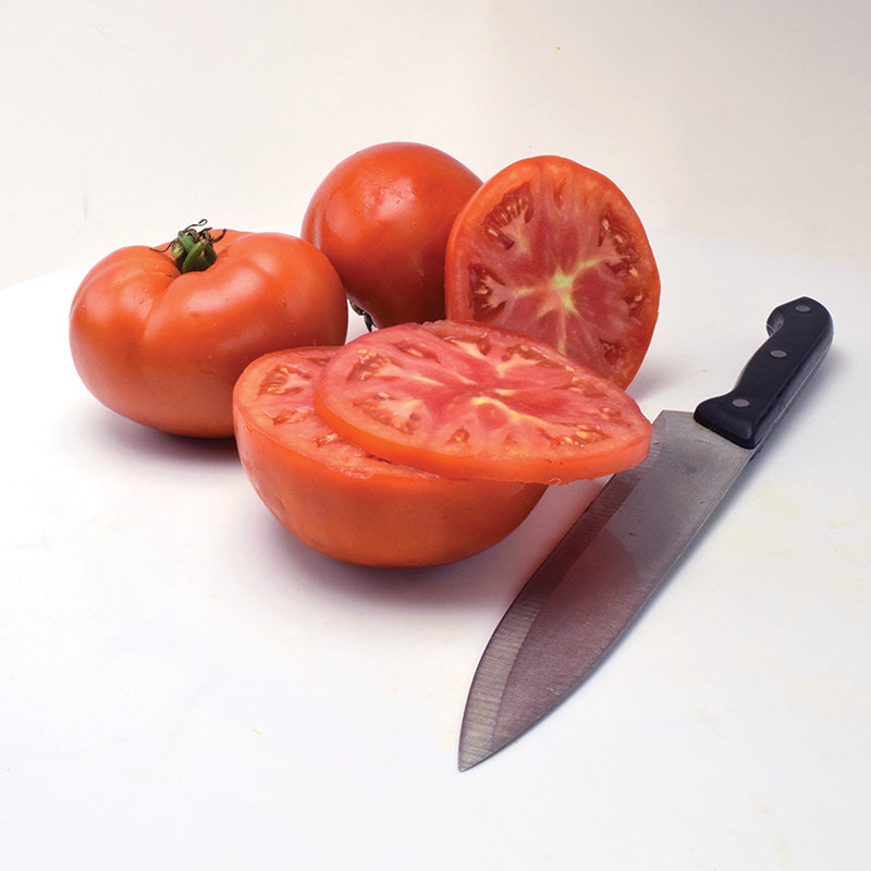 Tomato Primo Red F1 Seed – Harris Seeds