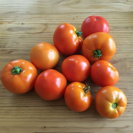 Tomato Red Deuce F1 Seed – Harris Seeds