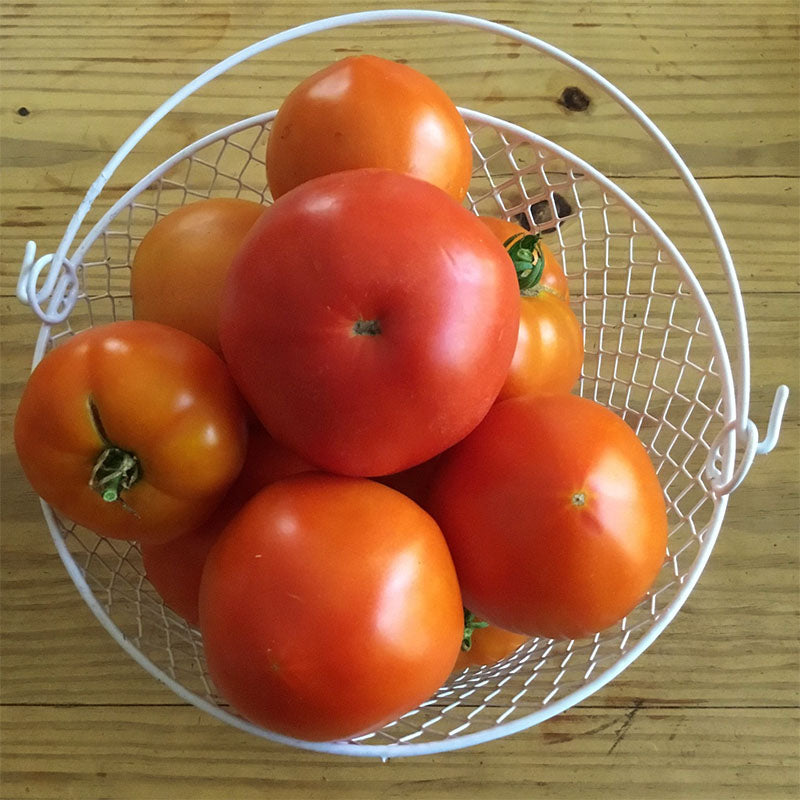 Tomato Red Deuce F1 Seed – Harris Seeds