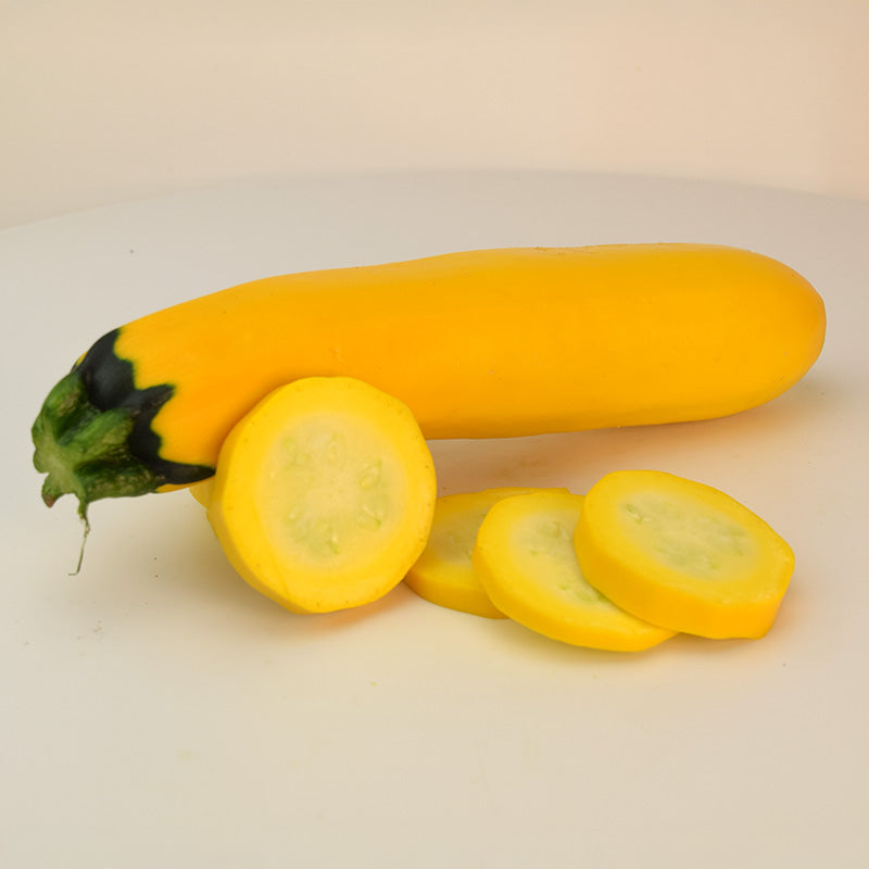 Squash Golden Glory F1 Seed – Harris Seeds
