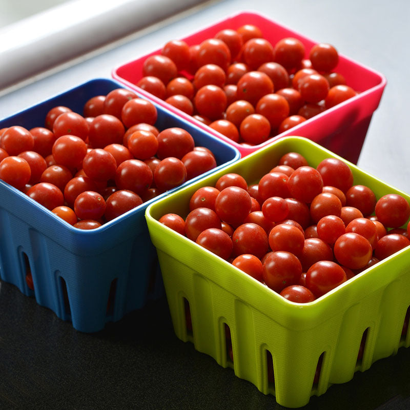 Tomato Candyland Seed – Harris Seeds