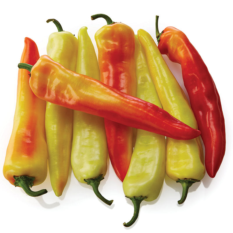 Pepper Sweet Sunset F1 Seed – Harris Seeds