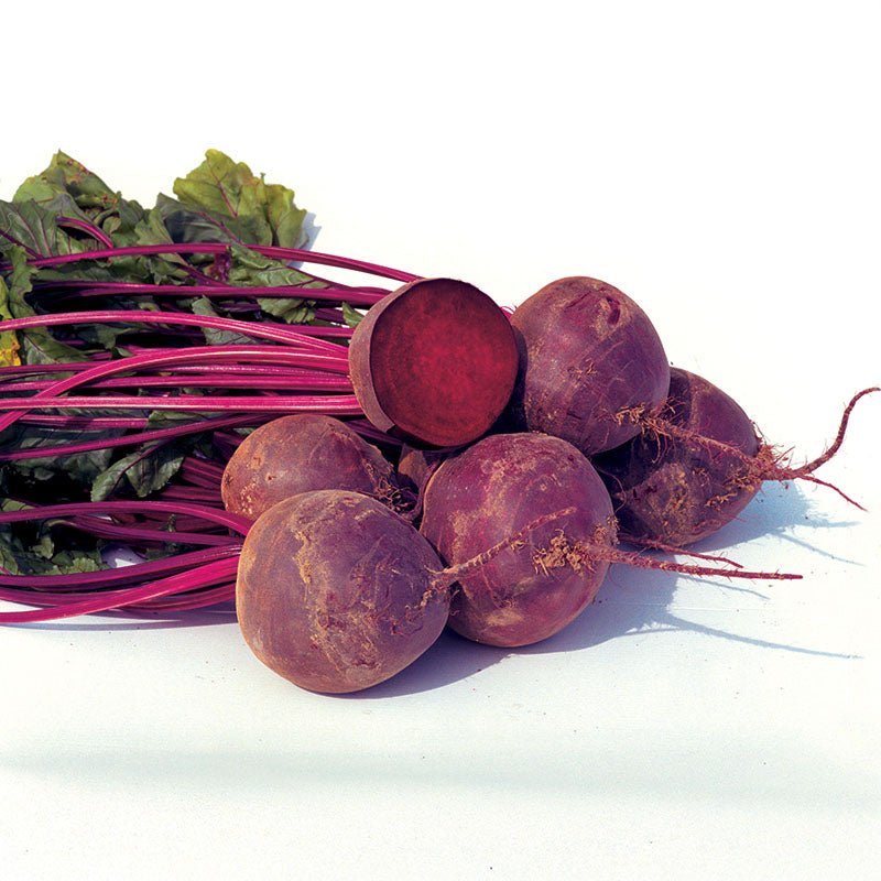 Beet Boro F1 Seed – Harris Seeds
