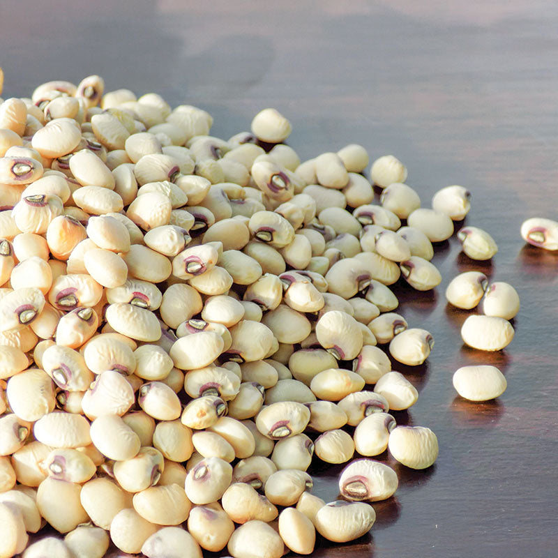 Cowpea Coronet Seed – Harris Seeds