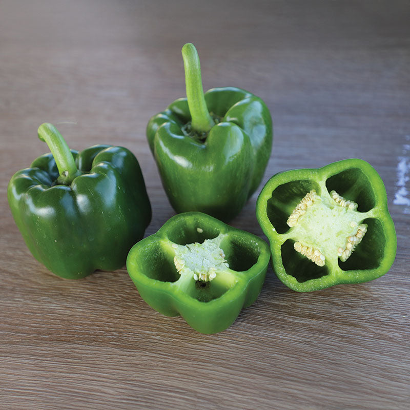 Pepper Tarpon F1 Seed – Harris Seeds