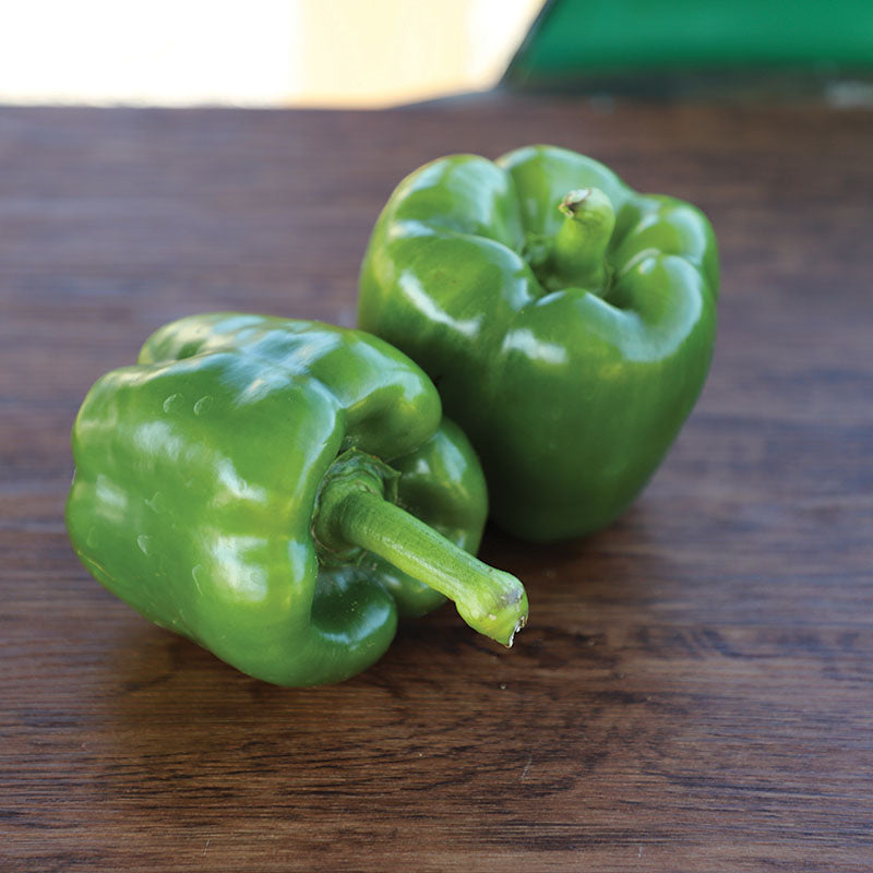 Pepper Abay F1 Organic Seed – Harris Seeds