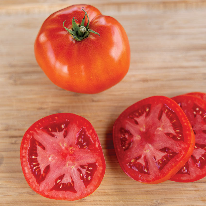 Tomato Roadster F1 Seed – Harris Seeds