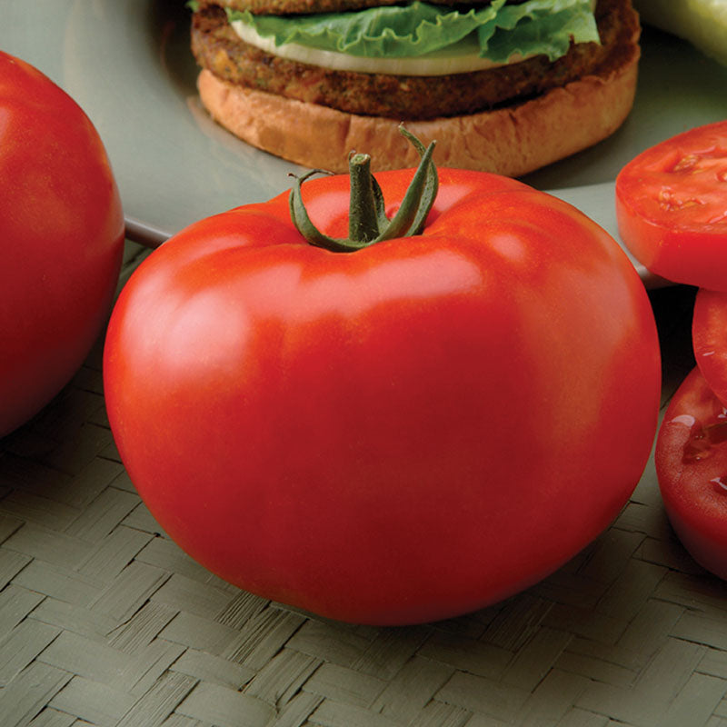Tomato Big Beef Plus F1 Seed – Harris Seeds