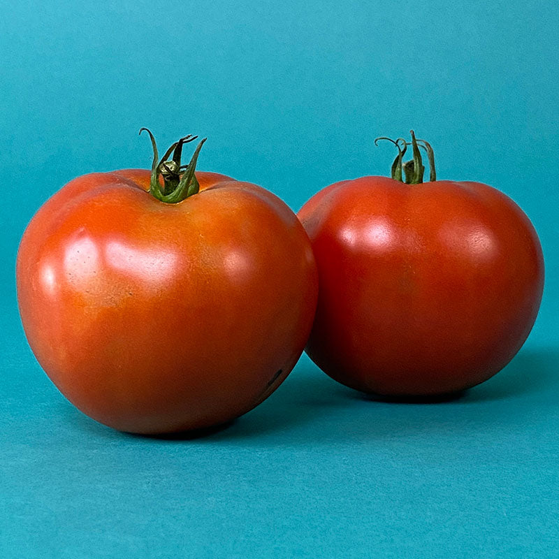 Tomato Big Beef Plus F1 Seed – Harris Seeds