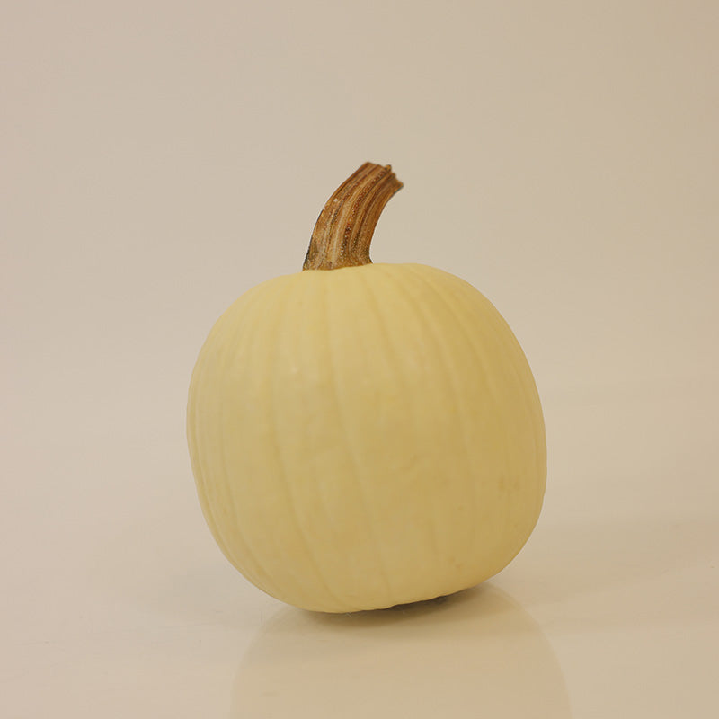 Pumpkin Snowdrop F1 Seed – Harris Seeds