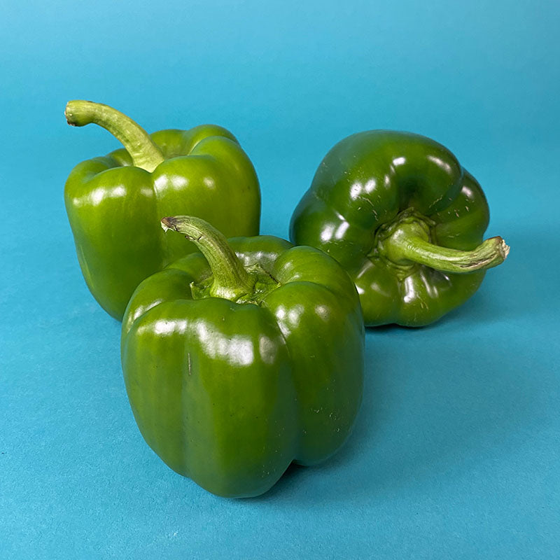 Pepper Olympus F1 Organic Seed – Harris Seeds