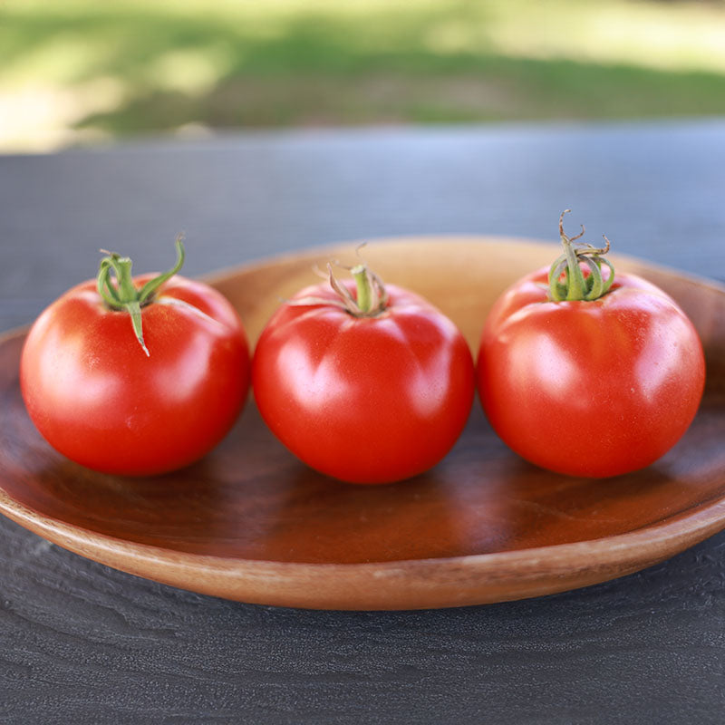 Tomato RuBee Dawn F1 Seed – Harris Seeds