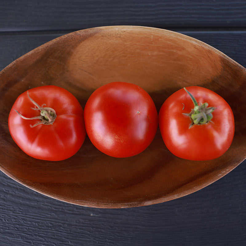 Tomato RuBee Dawn F1 Seed – Harris Seeds