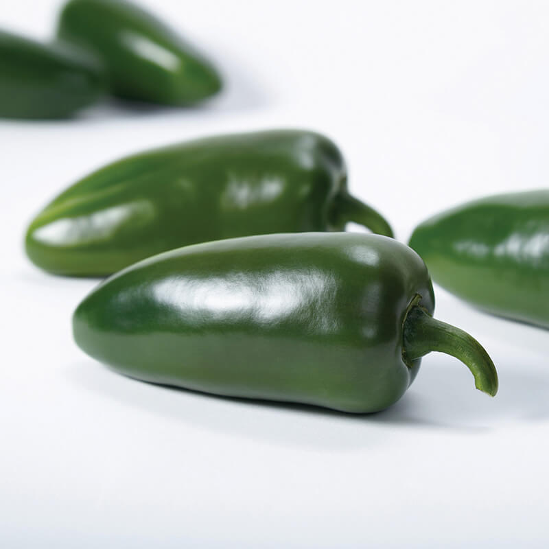 Pepper Megatron F1 Seed – Harris Seeds