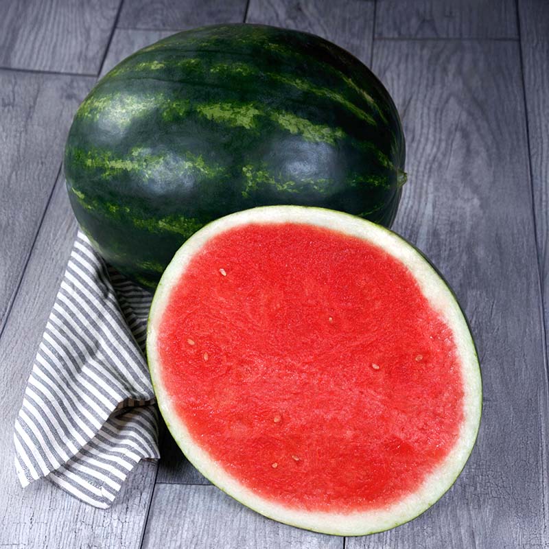 Watermelon El Capitan F1 Seed – Harris Seeds
